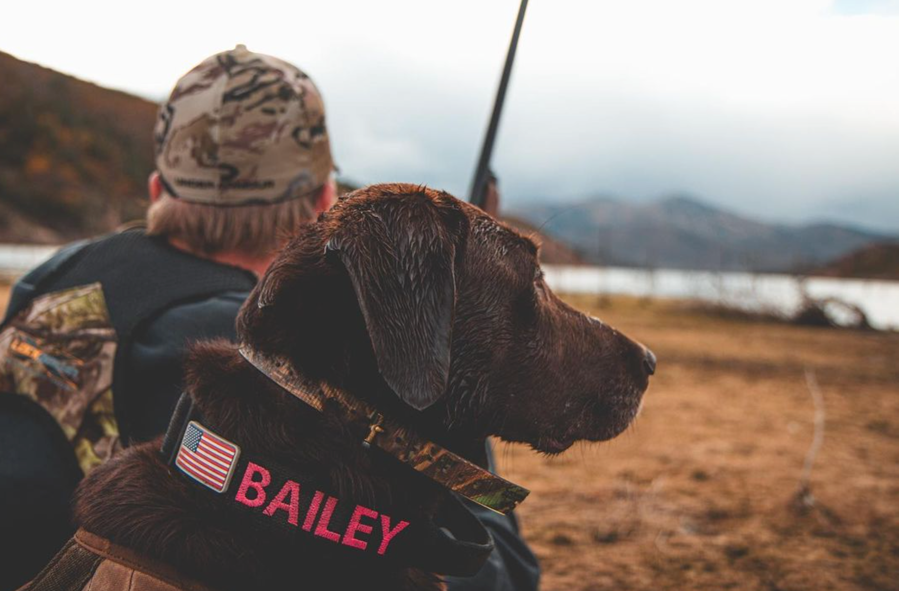 Types of Tactical Dog Commands You Should Know | Tactipup