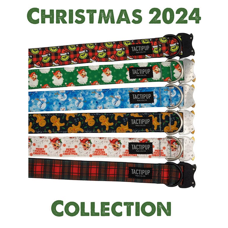 Collections - Tactipup