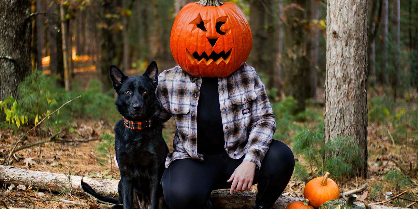 Tactipup - Over-Built Dog Gear - Made in the USA