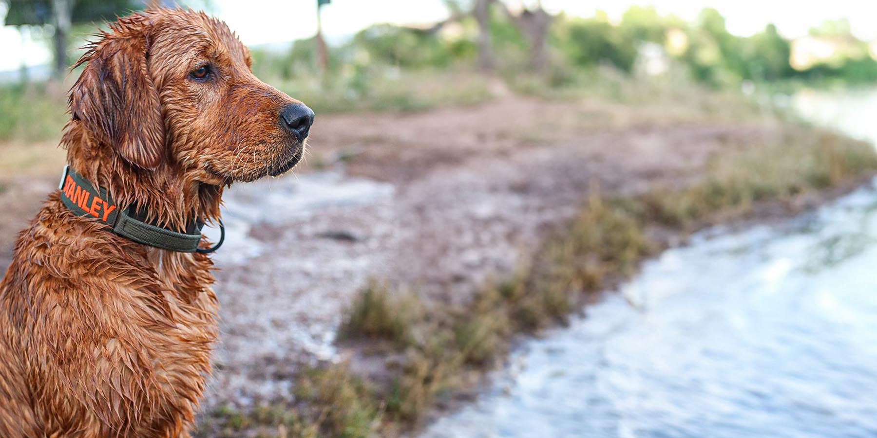 Tactipup - Over-Built Dog Gear - Made in the USA