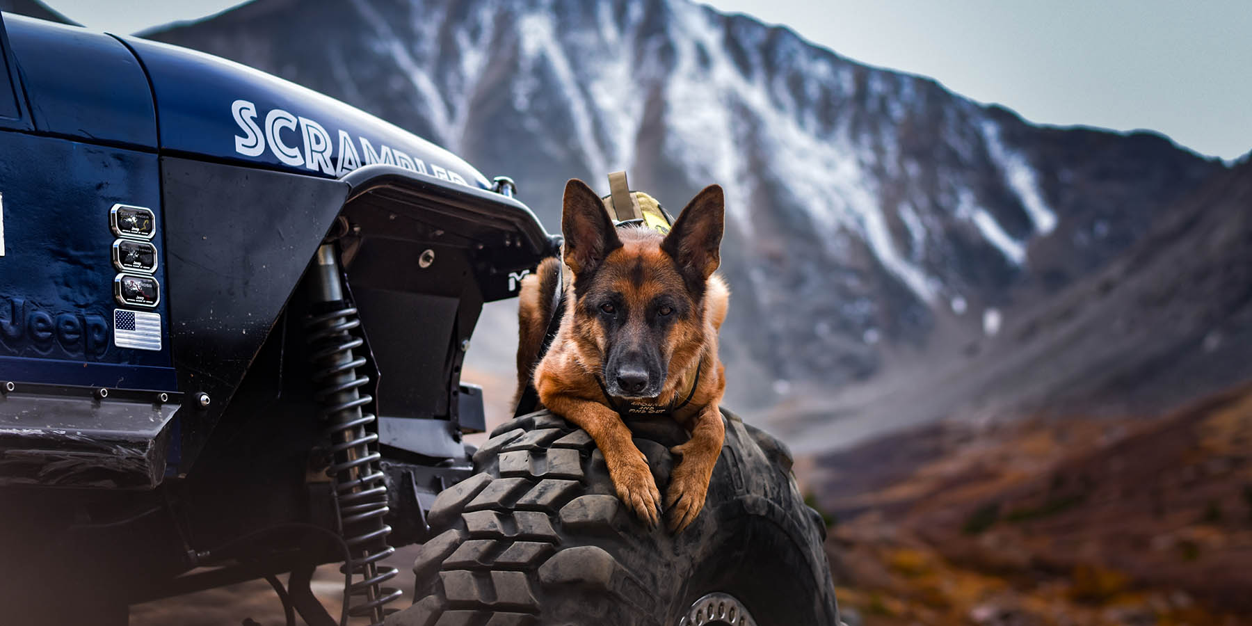 Tactipup - Over-Built Dog Gear - Made in the USA