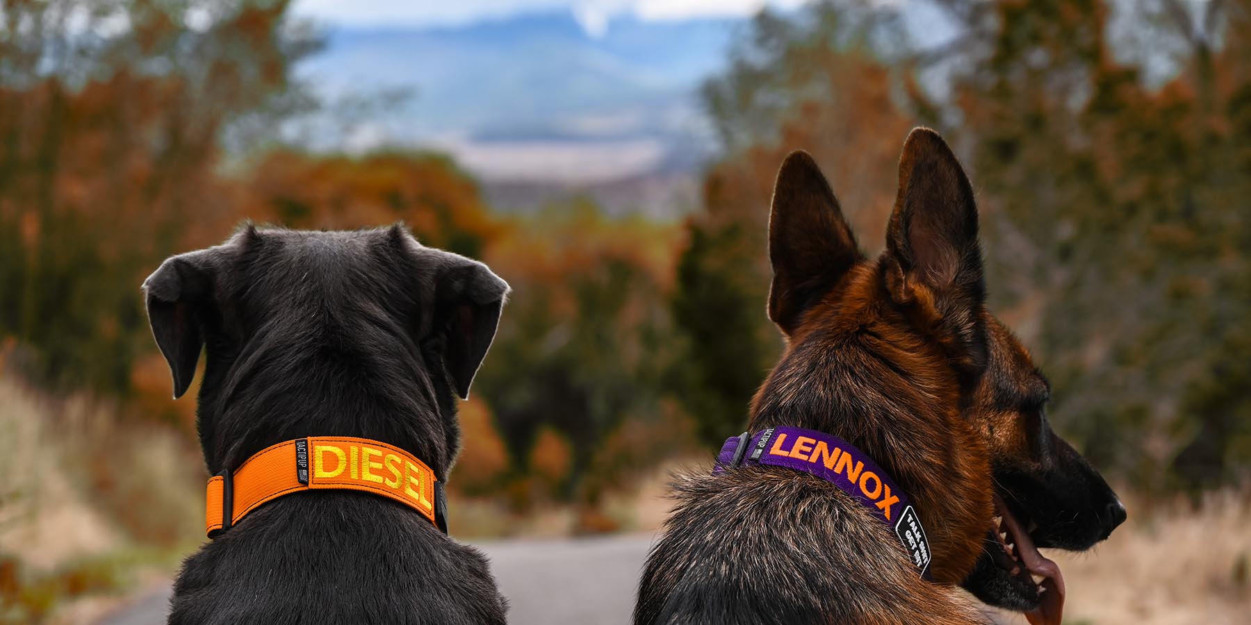 Tactipup - Over-Built Dog Gear - Made in the USA