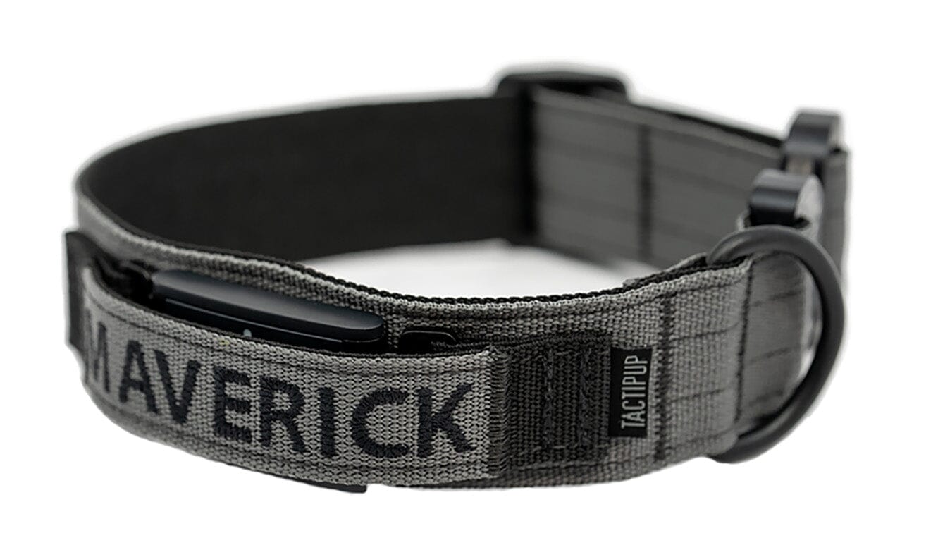 Fi Compatible Dog Collars with GPS- Tactical Dog Collars - Tactipup