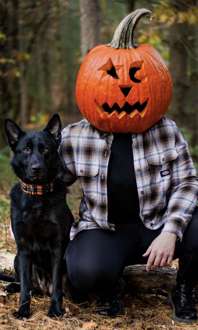 Tactipup - Over-Built Dog Gear - Made in the USA