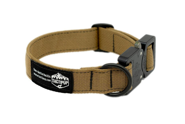 1" Extreme Tactical Dog Collar - Tactipup